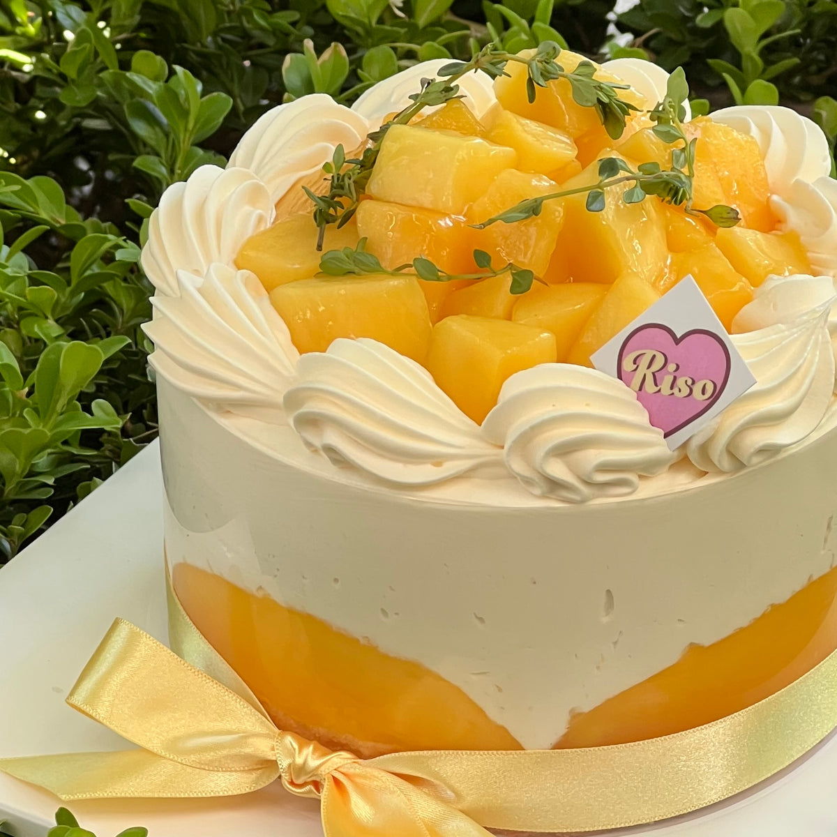 [SOLD OUT] Fresh Cream Mango Cake – Riso Cake